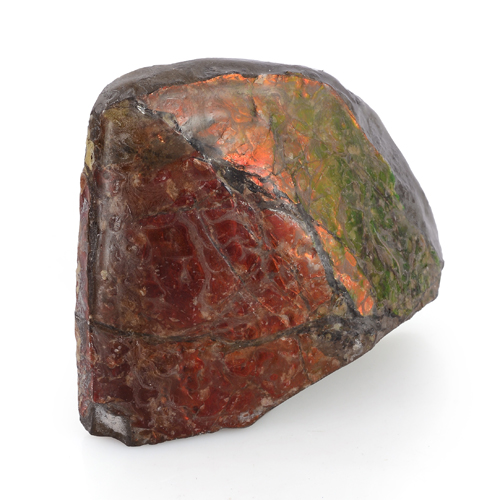 Ammolite Stone Meaning, Properties, History & Jewelry Info | Shop LC ...